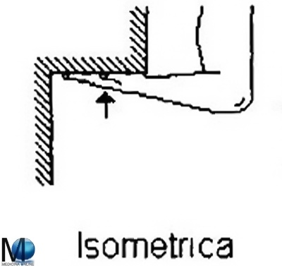 Differenza tra contrazione isometrica (statica) e isotonica (dinamica ...