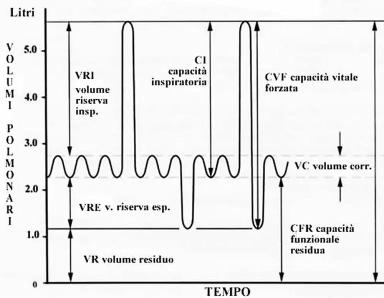 Parametri della spirometria: capacità, volumi, rapporti e flussi ...