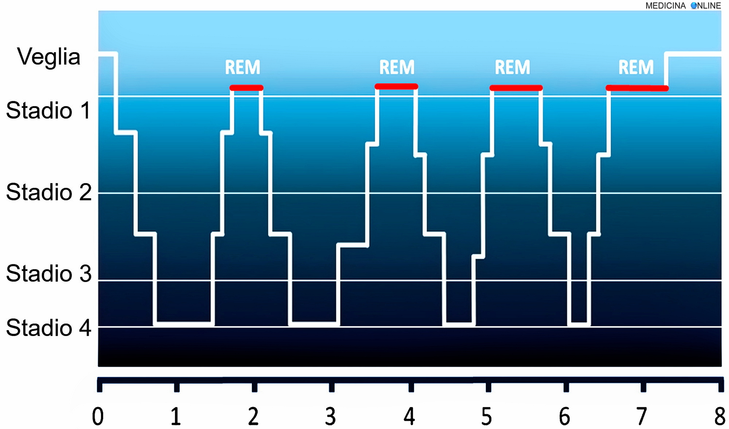 Differenze tra fase REM e NON REM del sonno | MEDICINA ONLINE