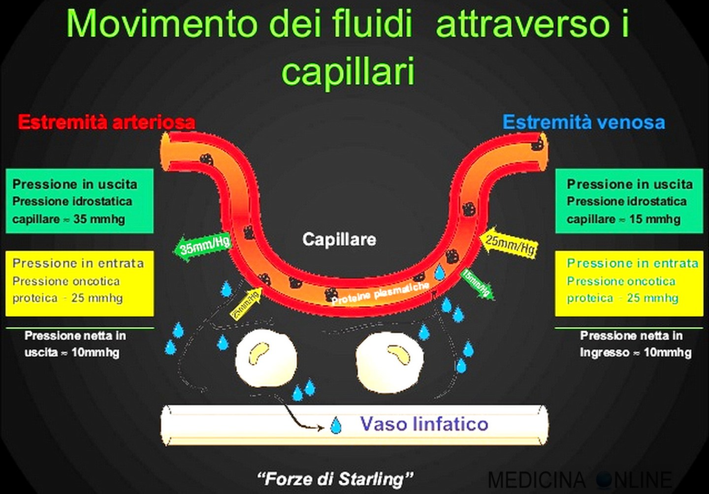 pressione oncotica | MEDICINA ONLINE