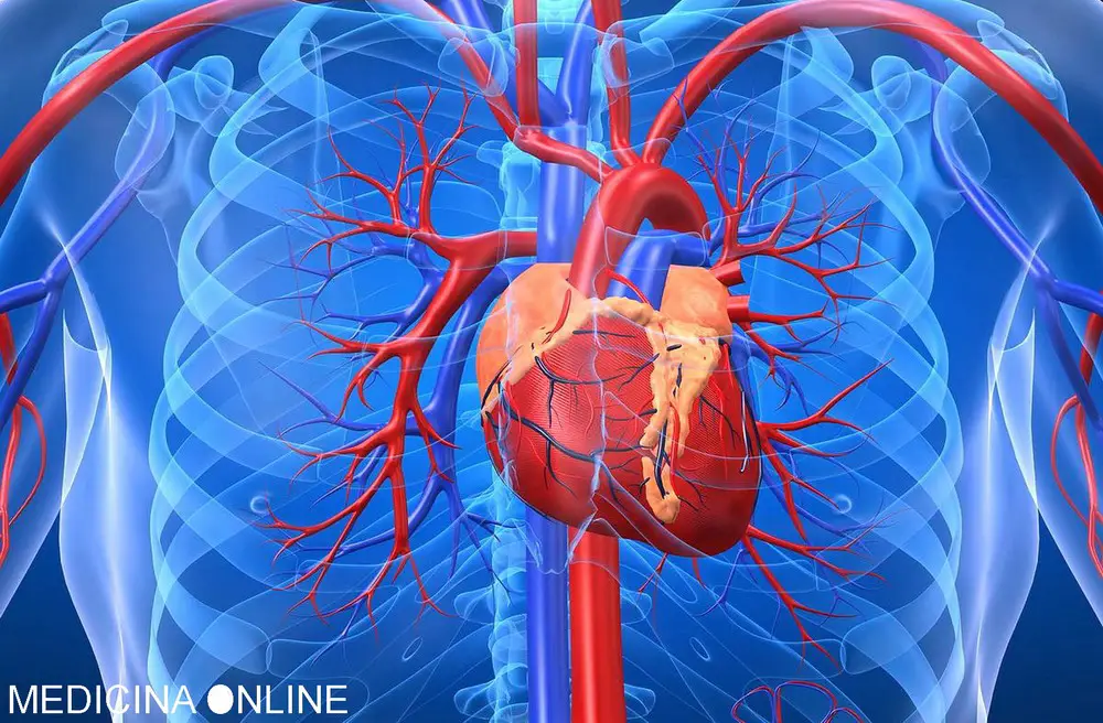 Differenza tra pacemaker e defibrillatore ICD | MEDICINA ONLINE