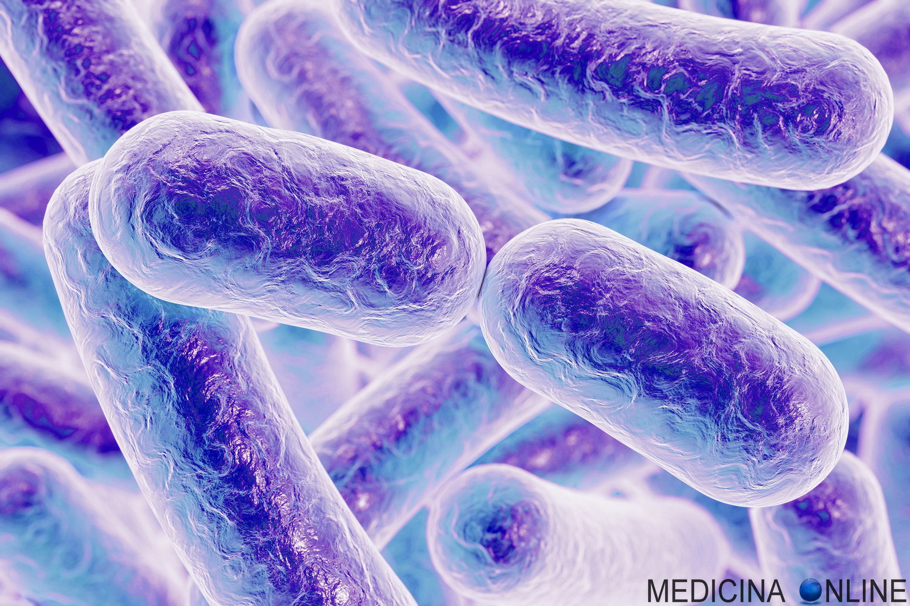 Mycobacterium tuberculosis: il batterio che causa la tubercolosi ...