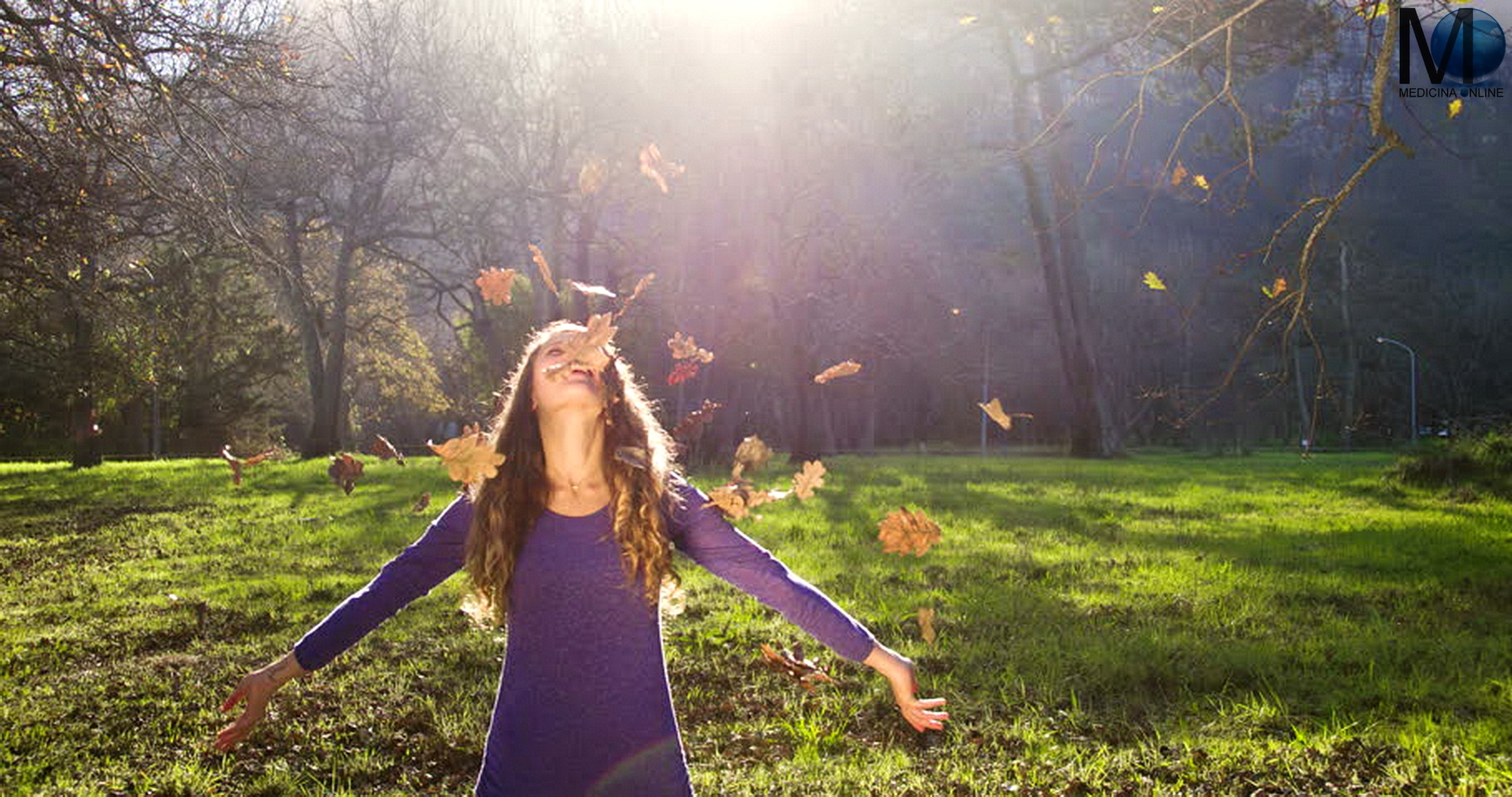 Differenza tra bosco e foresta | MEDICINA ONLINE