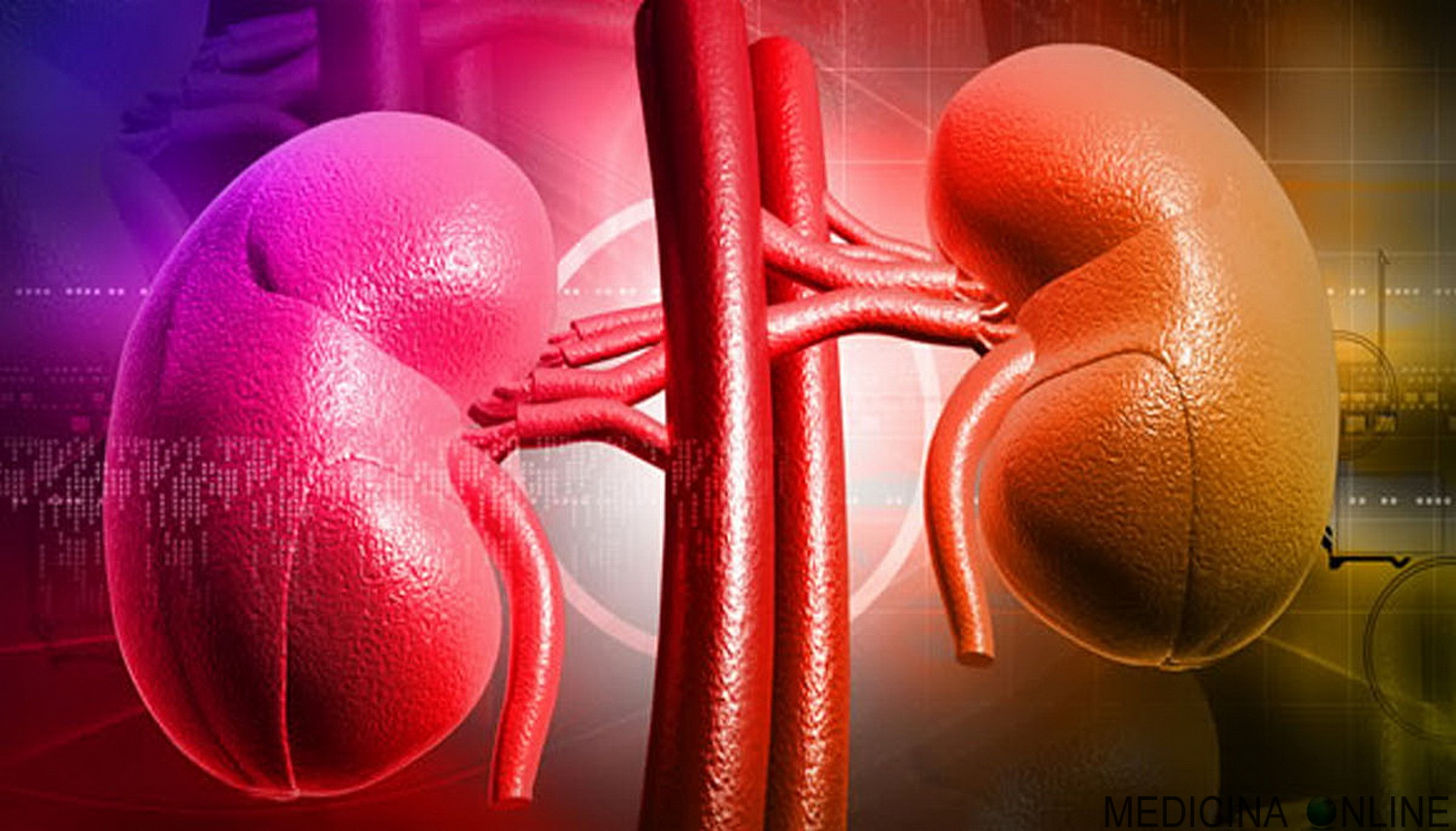 Differenza tra anuria ed oliguria | MEDICINA ONLINE