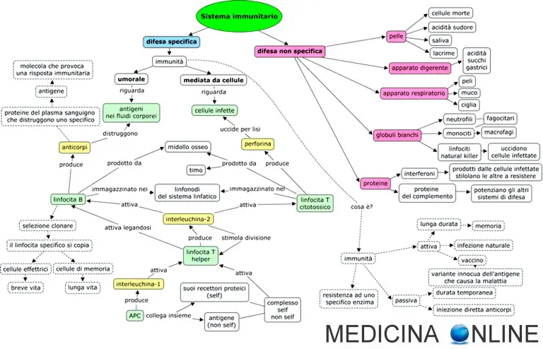 Sistema Immunitario Immunità Innata E Specifica Riassunto Schema E