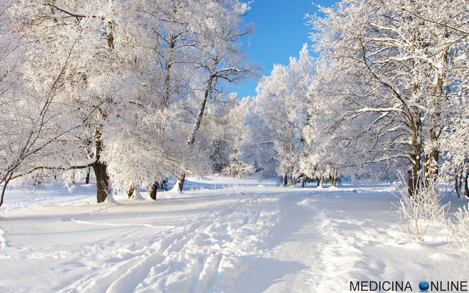 Neve: cos’è, come si forma, come si verifica la neve sopra i 2 °C ...