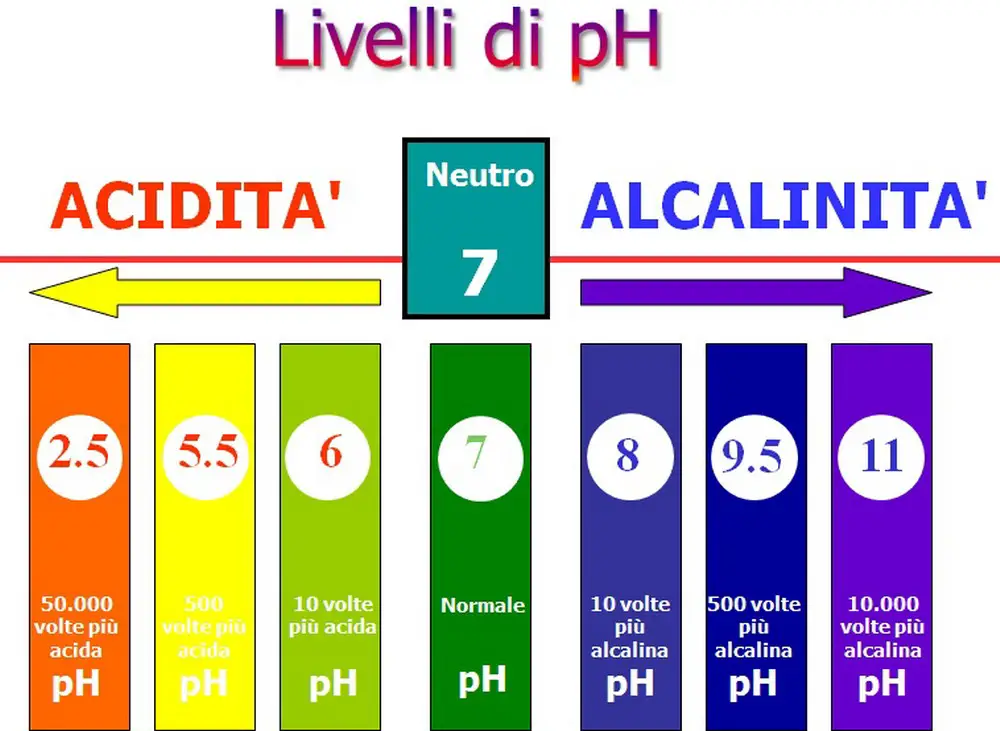 Differenza tra acidi e basi | MEDICINA ONLINE