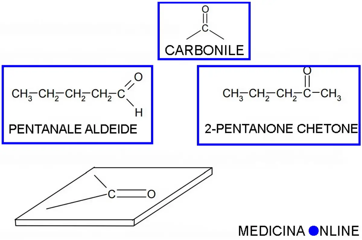 Differenza tra aldeidi, chetoni ed alcheni | MEDICINA ONLINE