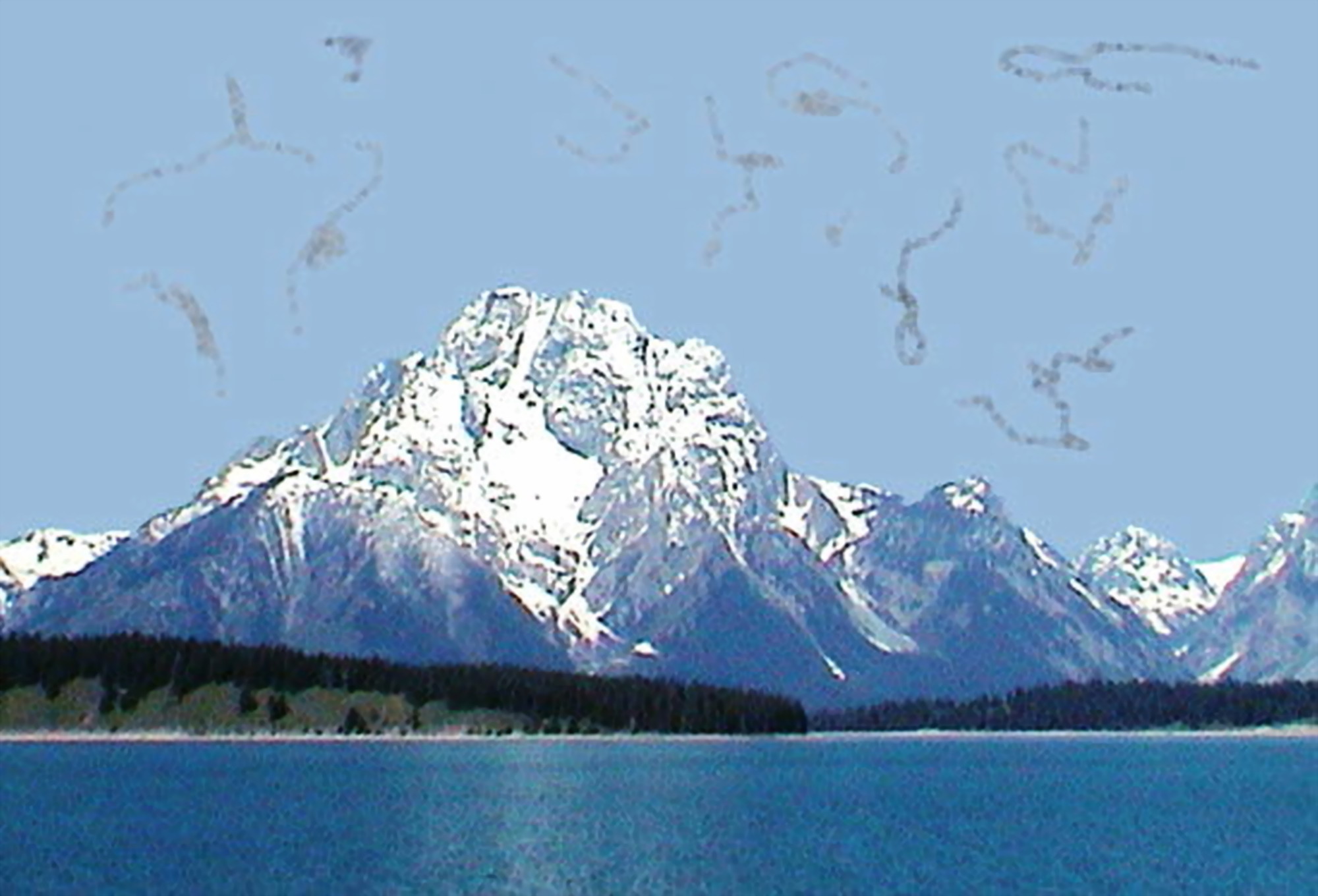 Le miodesopsie (mosche volanti) sono pericolose? Quando chiamare il ...