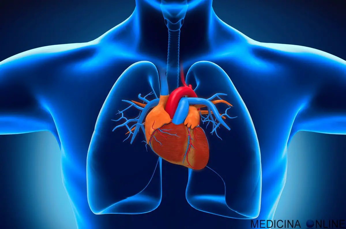 Flutter atriale: cause, terapie, cosa fare, cura, ablazione e sintomi ...