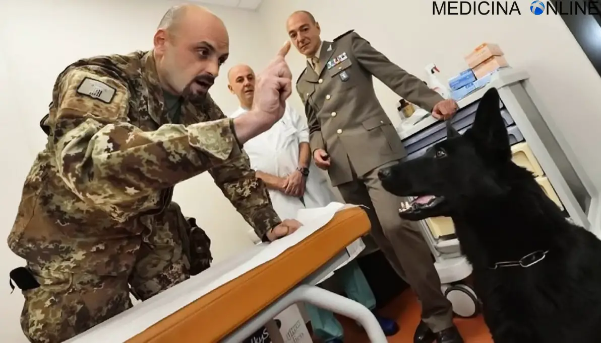 Liù, la cagnolina che fiuta i tumori prima dei medici | MEDICINA ONLINE