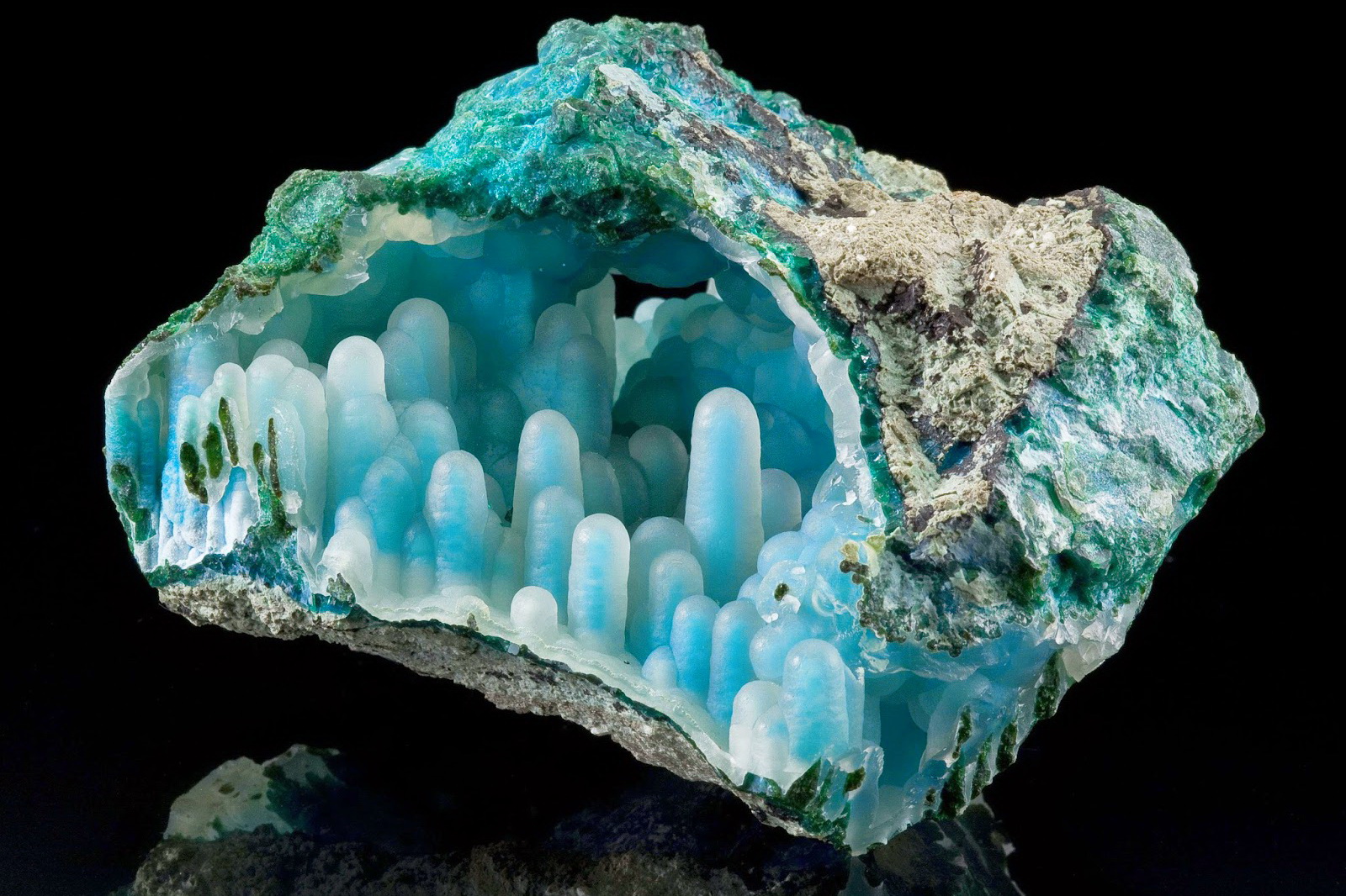 elemento | MEDICINA ONLINE