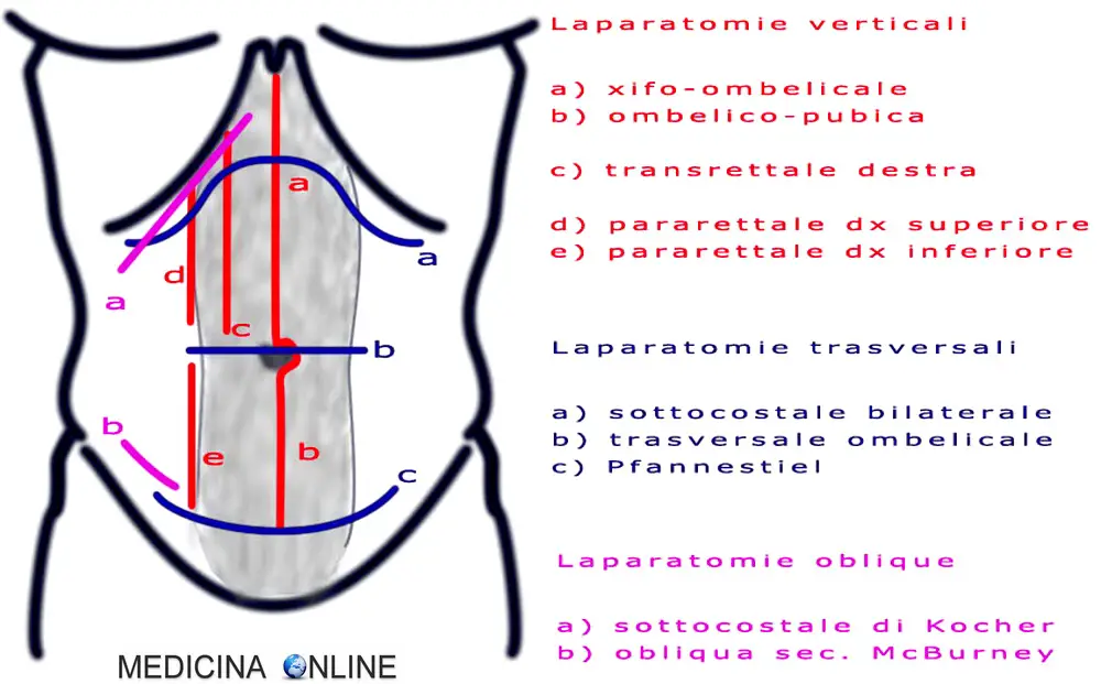 Anatomia, fisiologia, fisiopatologia, semeiotica | MEDICINA ONLINE ...