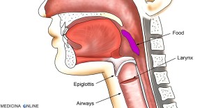 Esofago e trachea: zona, anatomia, rapporti e differenze | MEDICINA ONLINE