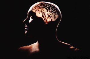 Psicofisiologia del sonno: sogni lucidi, fase REM, NREM e ricordo del ...