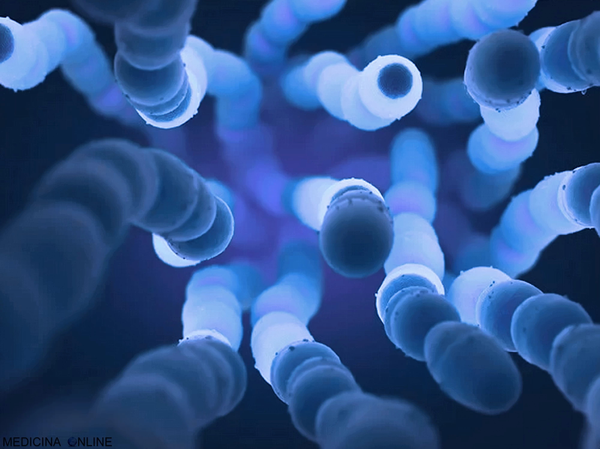 Infezioni da Streptococcus pneumoniae: fattori di rischio, sintomi di ...