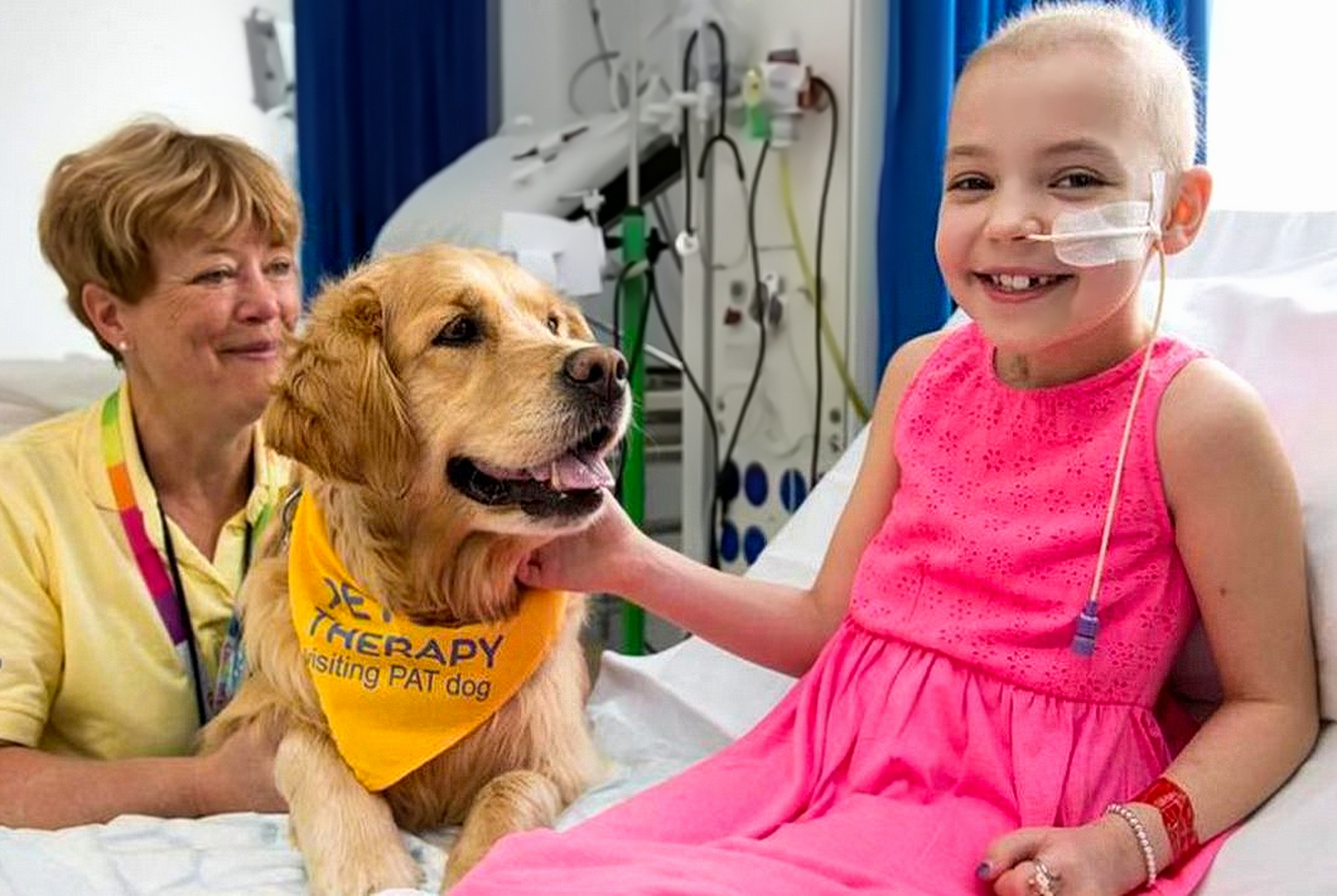 Pet therapy: quando gli animali domestici diventano la migliore ...